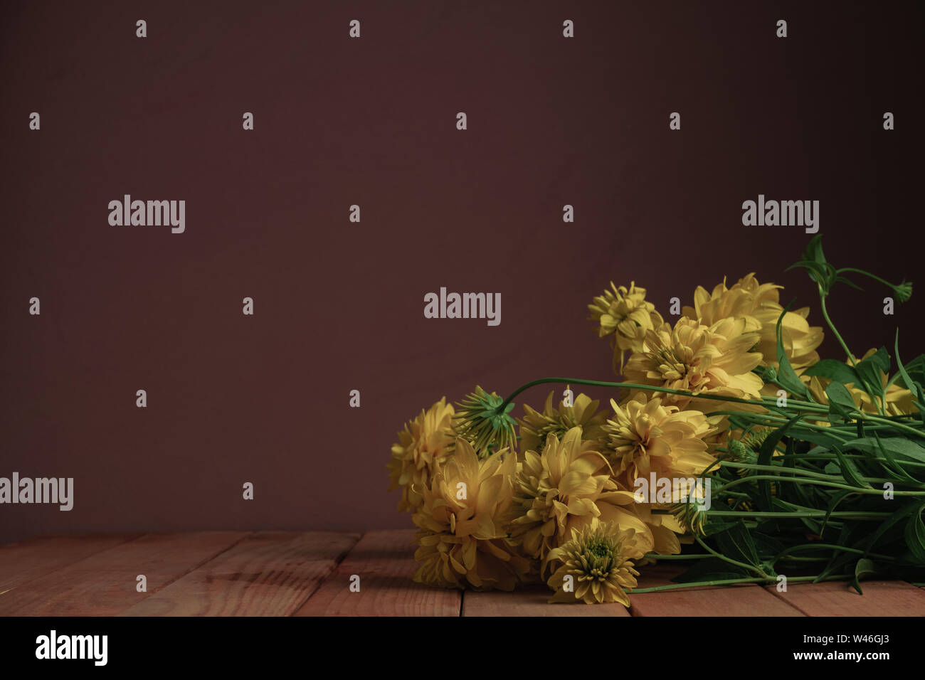 Yellow flowers on a red wooden table, beautiful dark-red wall ...