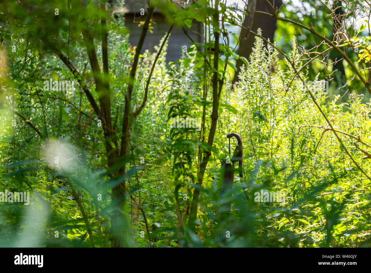 in a wooded area is an old forgotten pump Stock Photo - Alamy