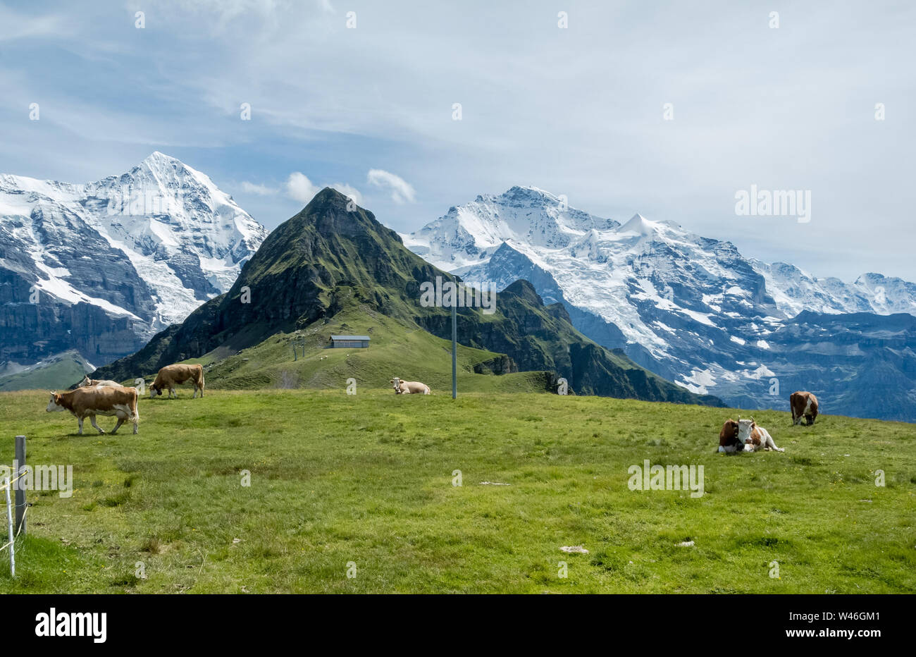 A pasture on the alps mountain range in switzerland hi-res stock ...