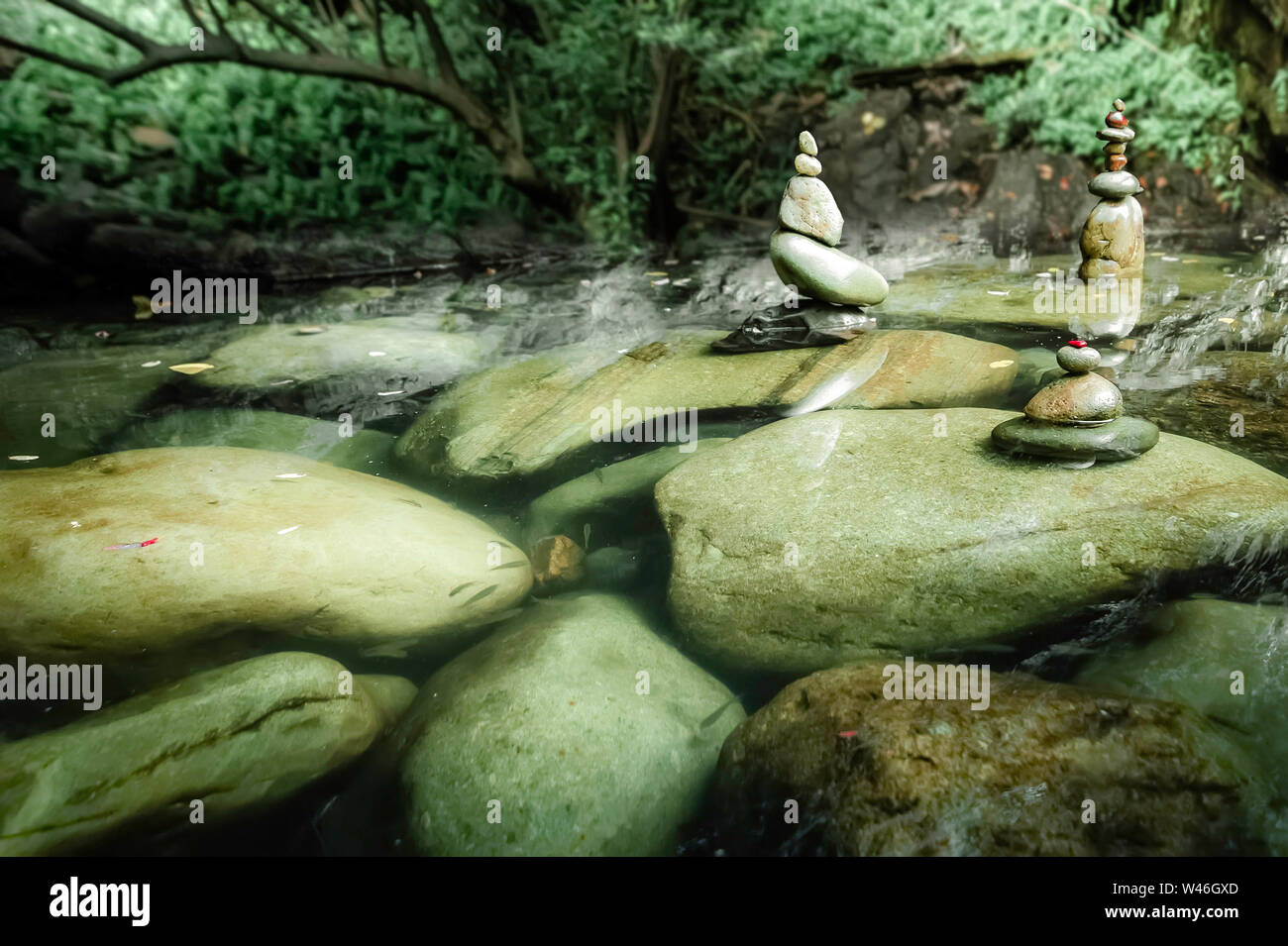 Amazing tropical rain forest landscape with lake and balancing rocks ...