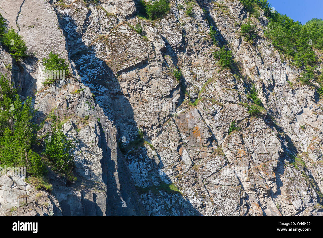 The structure of the rock covered with trees Stock Photo - Alamy