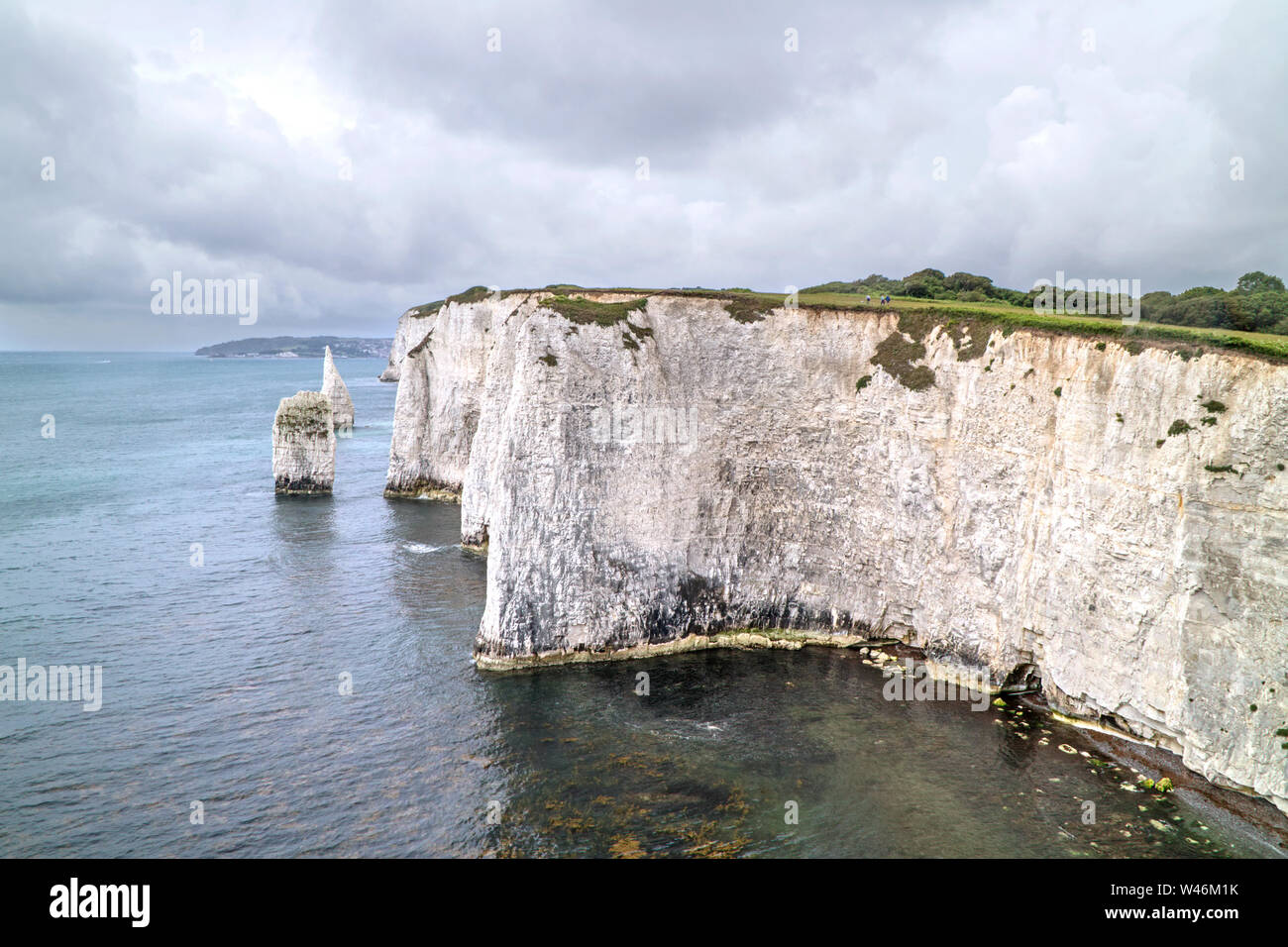 The Pinnacles from Ballard Down on the Dorset coast, England, UK Stock ...