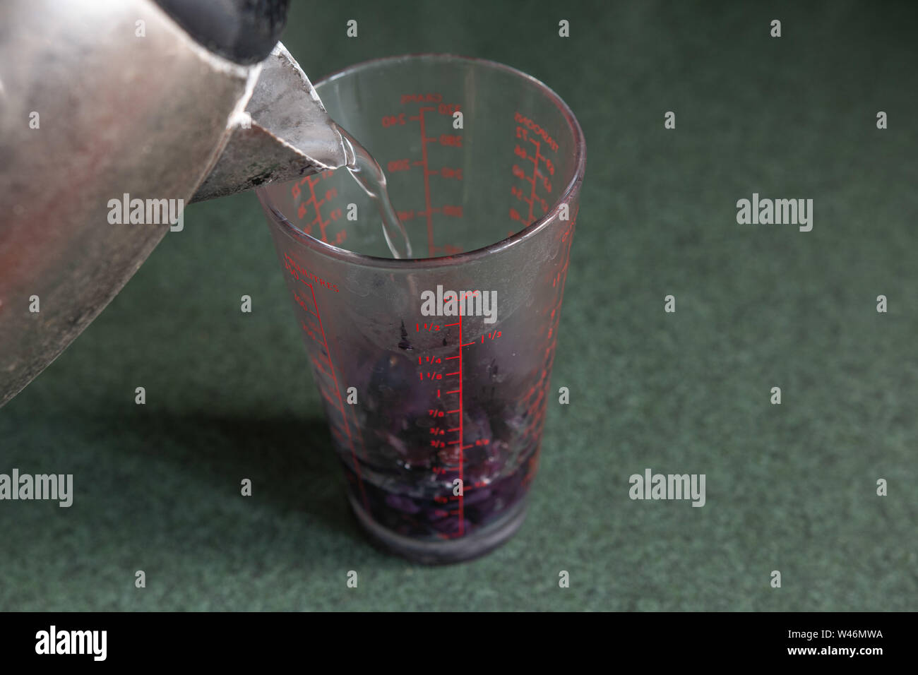 Making red cabbage indicator at home. Showing the red cabbage in a ...