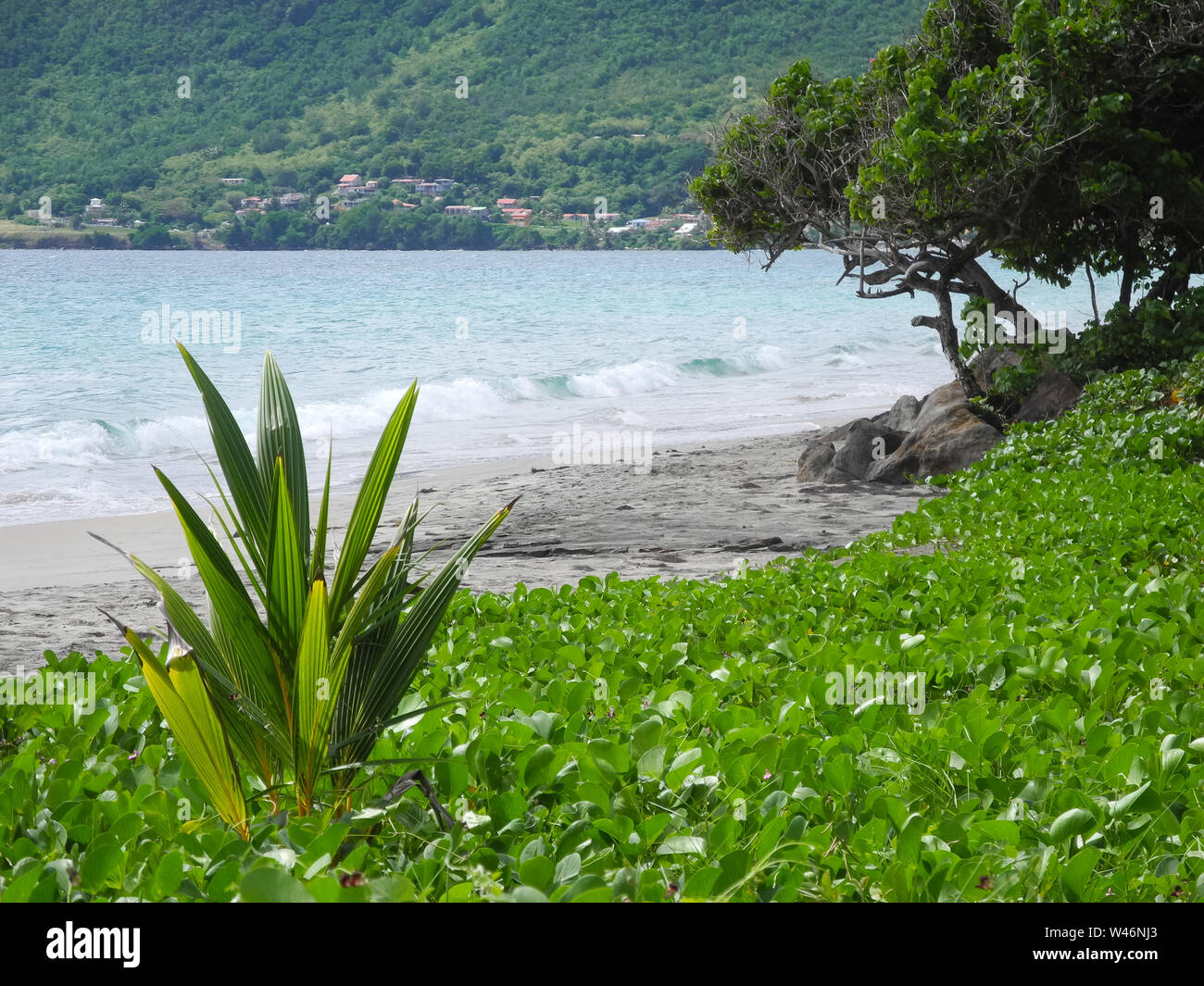 Caribbean island tropics tropical hi-res stock photography and images ...