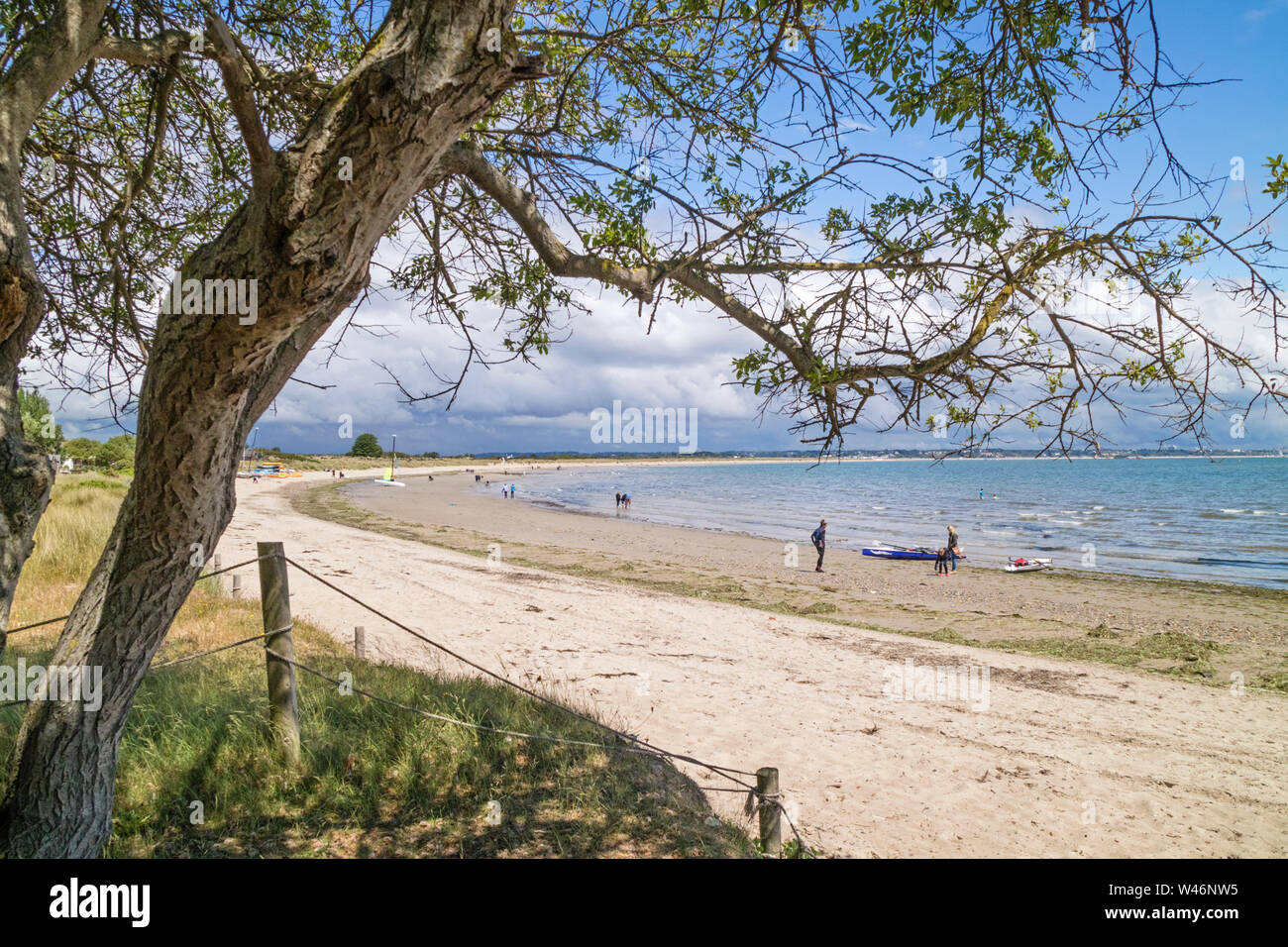 Studland Nature Reserve Dorset Stock Photo - Alamy