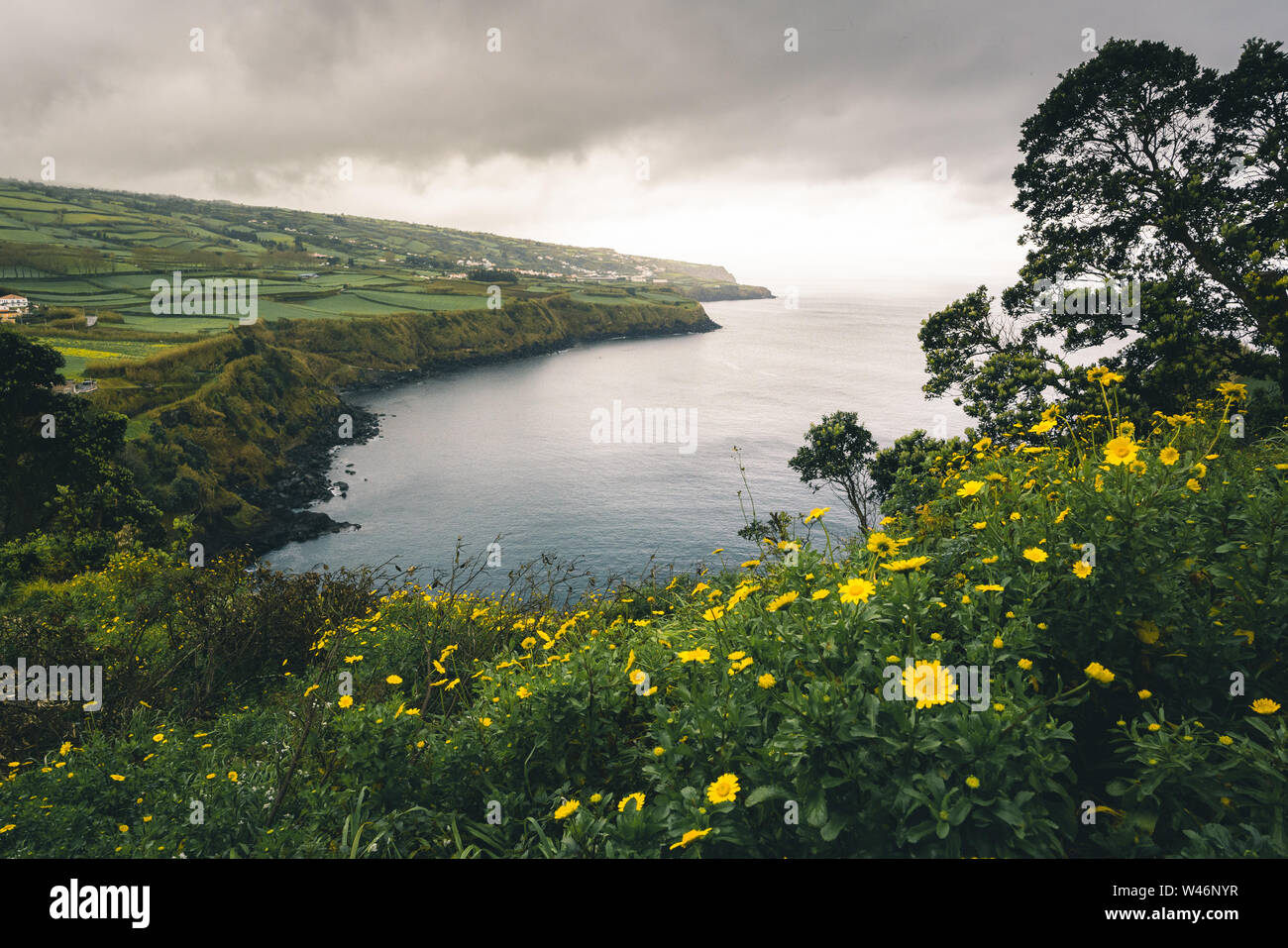 North coast Landscape over Capelas town on Sao Miguel island, Azores ...