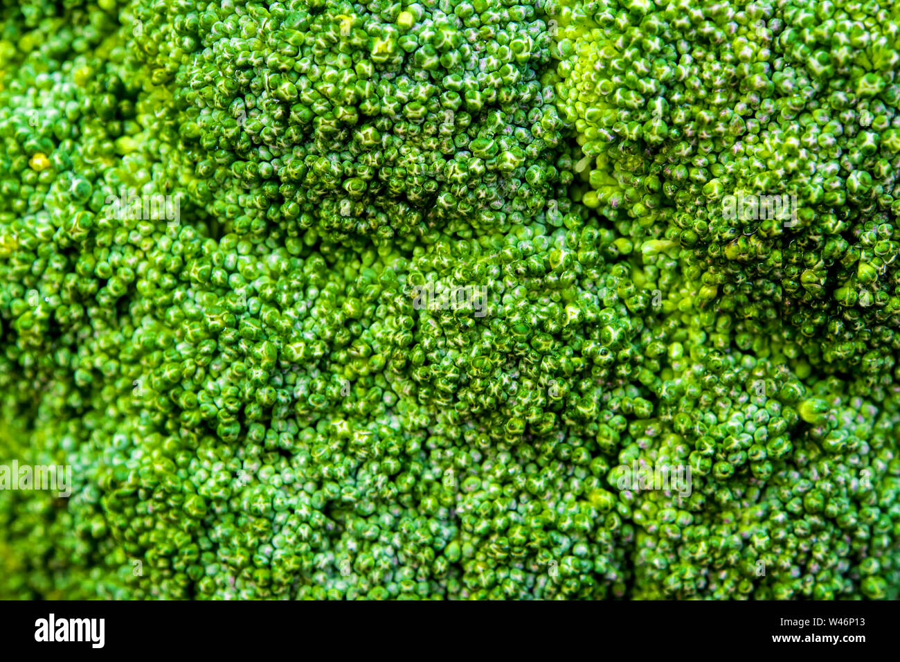 Close up to surface texture of freshness Broccoli vegetable Stock Photo ...