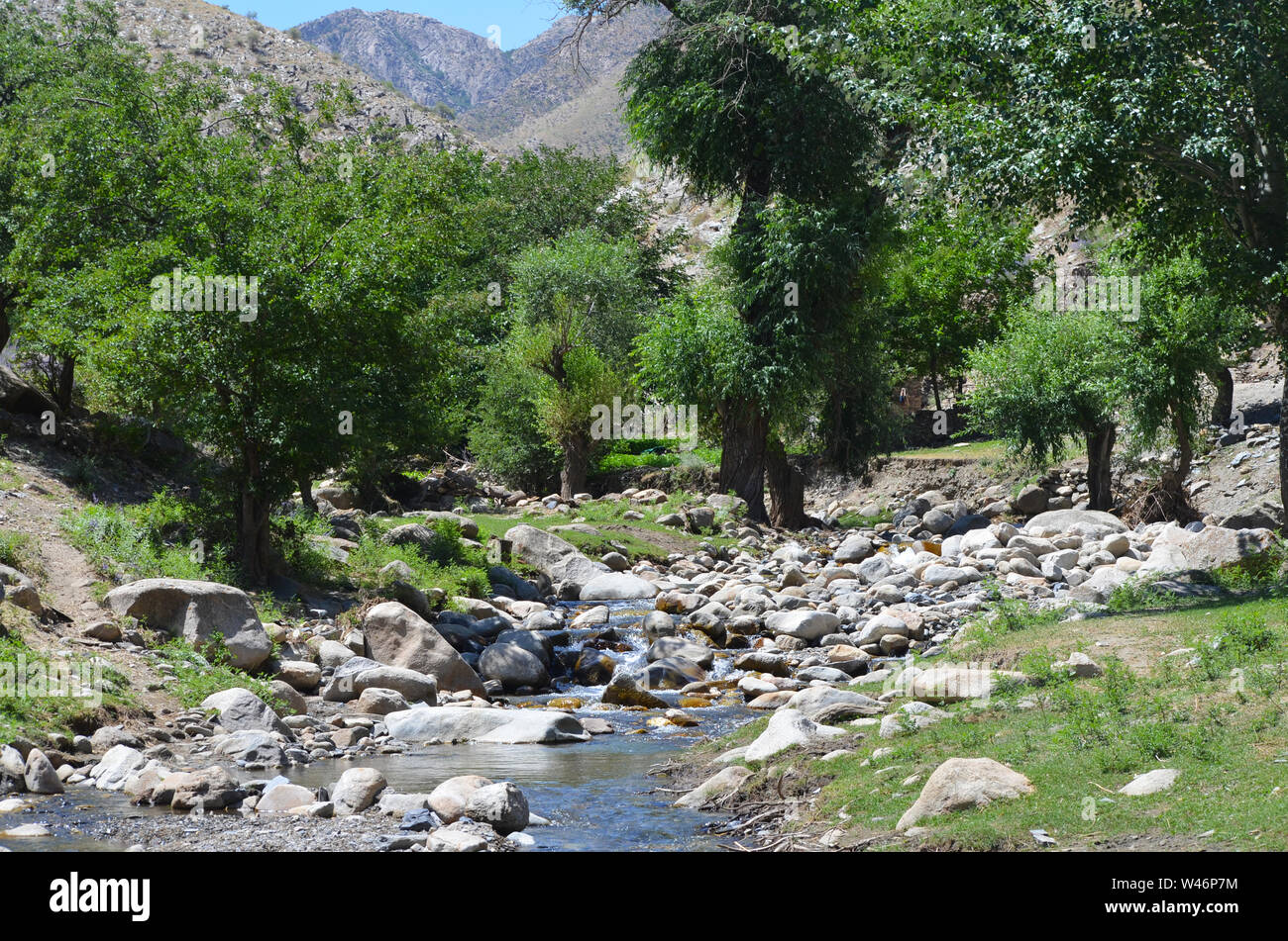 Riverine forests and fruit trees orchards in the Nuratau mountains ...