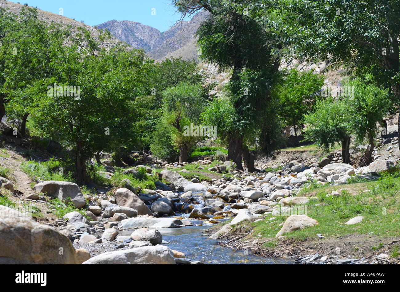 Riverine forests and fruit trees orchards in the Nuratau mountains ...