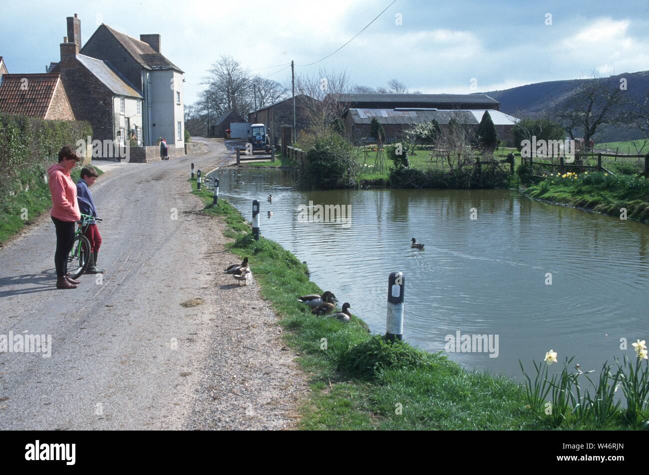 Village pond at East Creech, Purbeck, Dorset, UK 1992 Stock Photo - Alamy