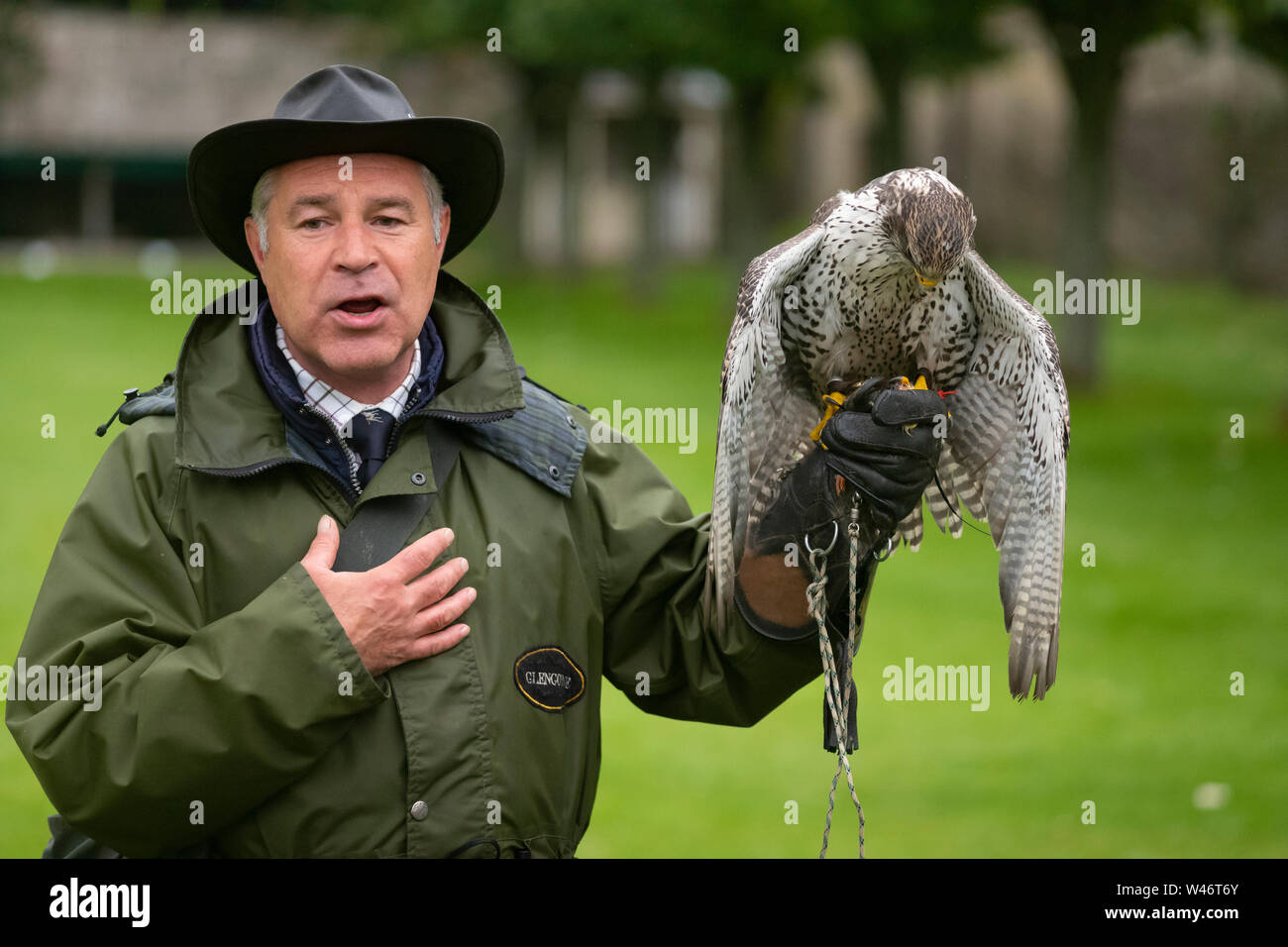 Andy Hughes, a Falconer demonstrates and explains the different hunting ...