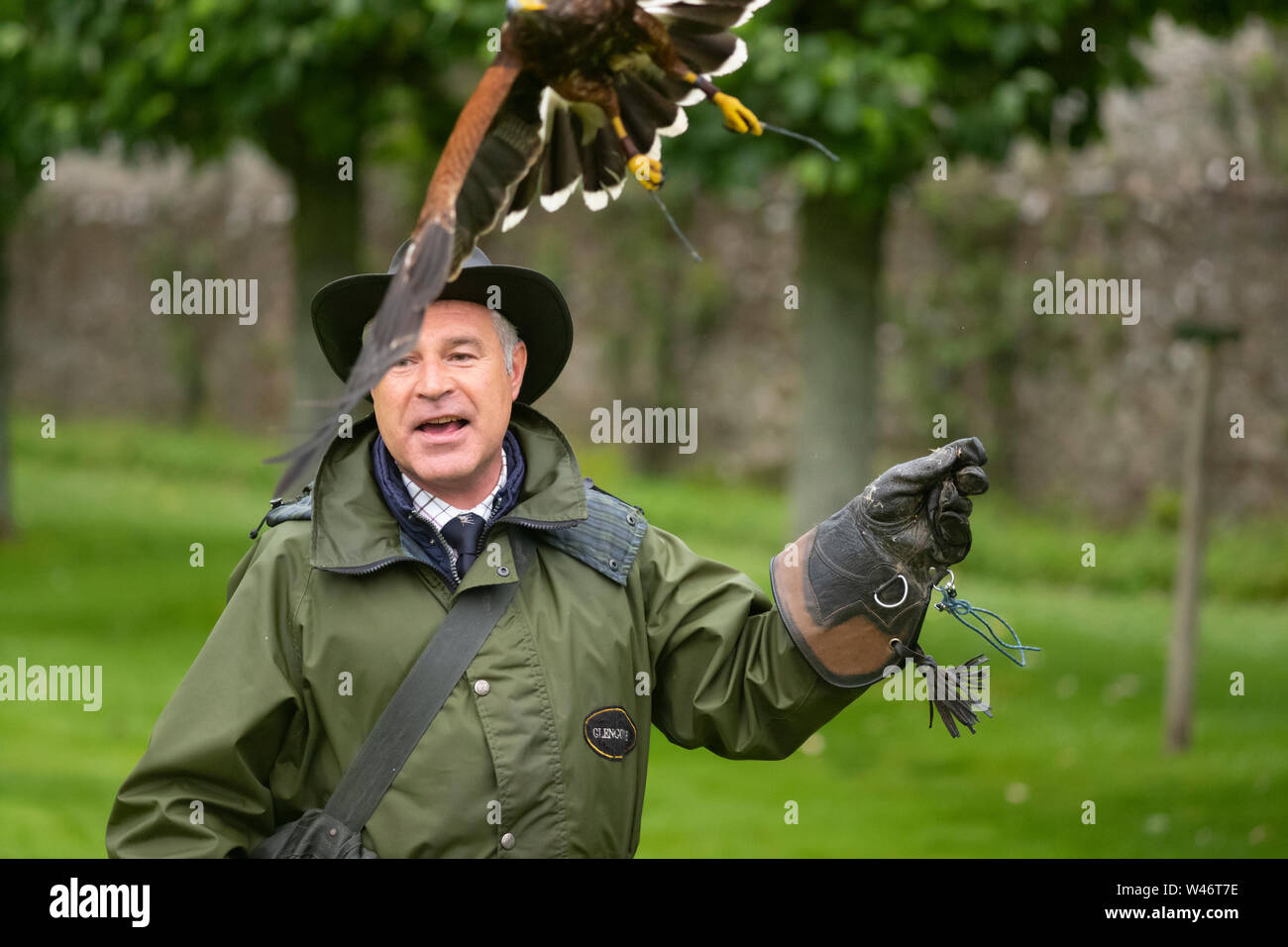 Andy Hughes, a Falconer demonstrates and explains the different hunting ...