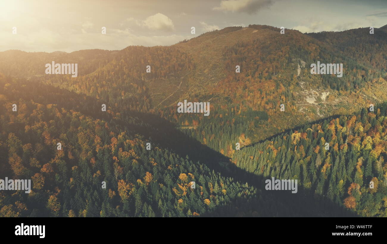 Autumn Sunset Forest Mountain Scenery Aerial View. Bright Wildlife ...