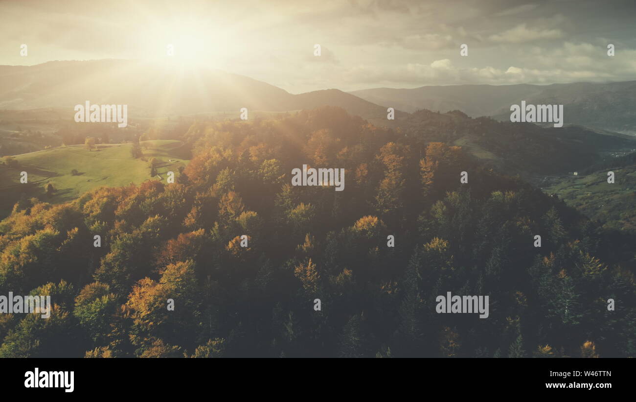 Dense Forest Mountainous Land Scenery Aerial View. Overcast Horizon ...