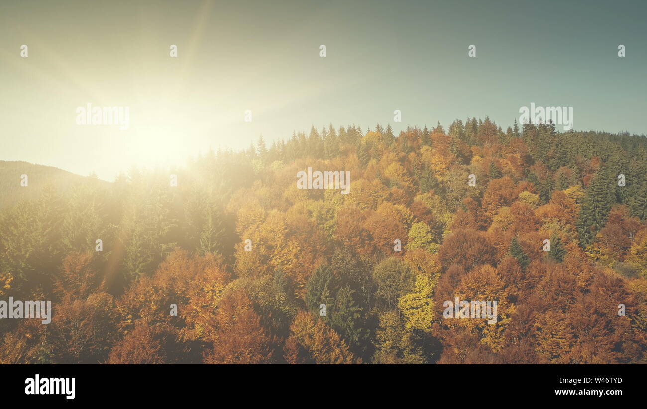 Slant top hi-res stock photography and images - Alamy