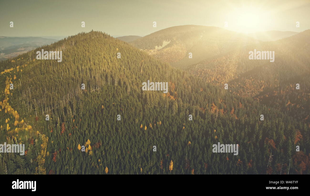 Colorful Mountain Forest Peak Sun Beam Aerial View. Sunrise Soft ...