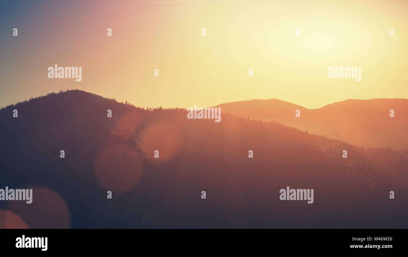 High Mountain Slope Sunset Hill Chain Aerial View. Coniferous Wildlife ...