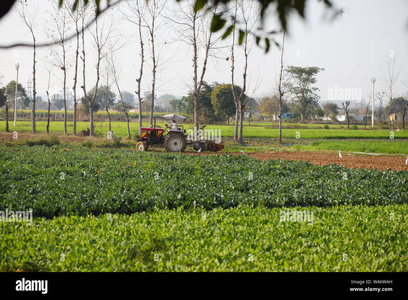 Farmer ploughing a field with tractor Stock Photo - Alamy
