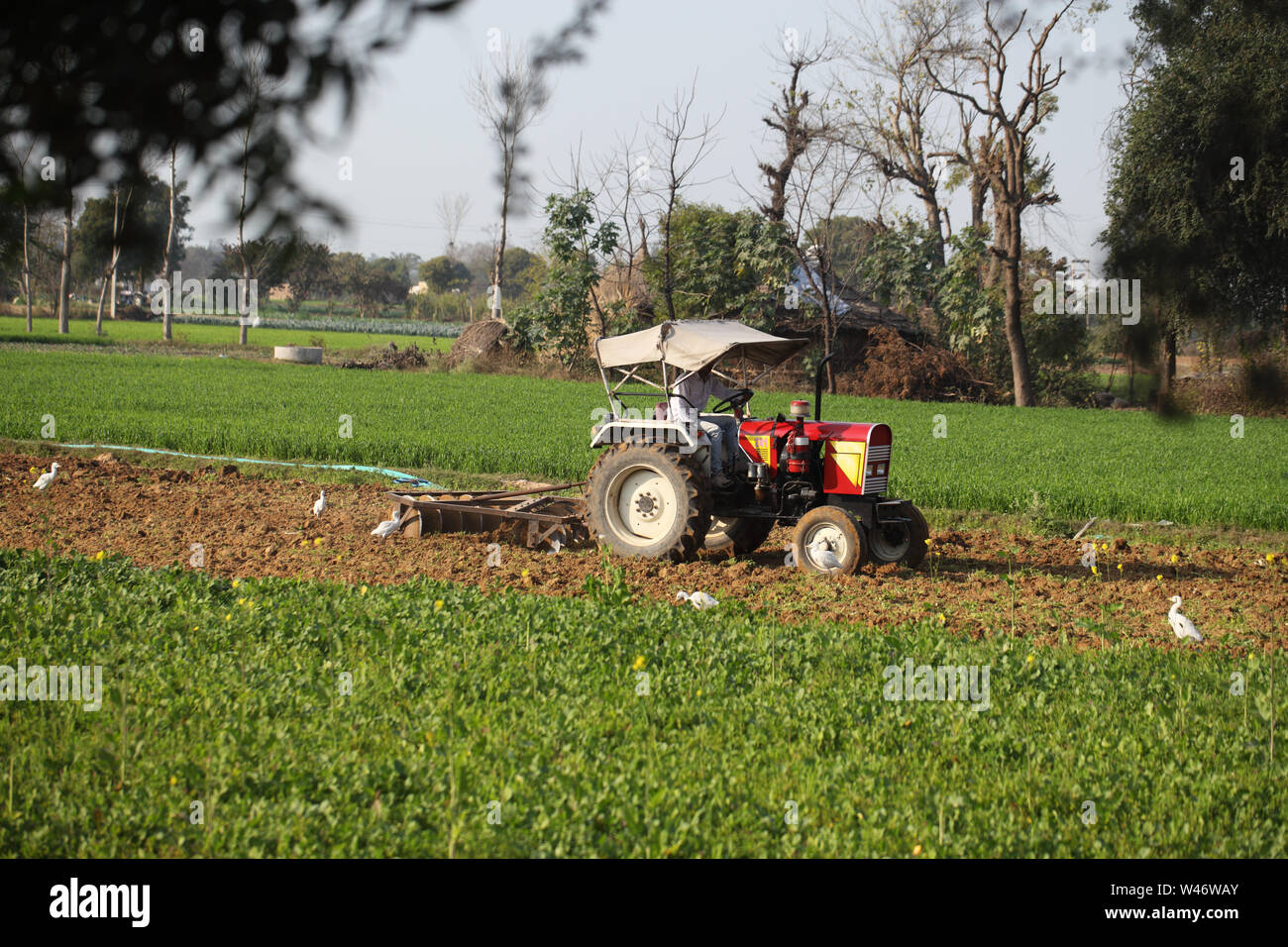 Farmer ploughing a field with tractor Stock Photo - Alamy
