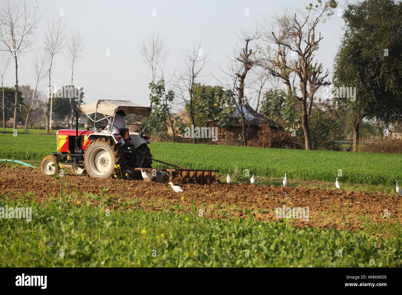 Farmer ploughing a field with tractor Stock Photo - Alamy
