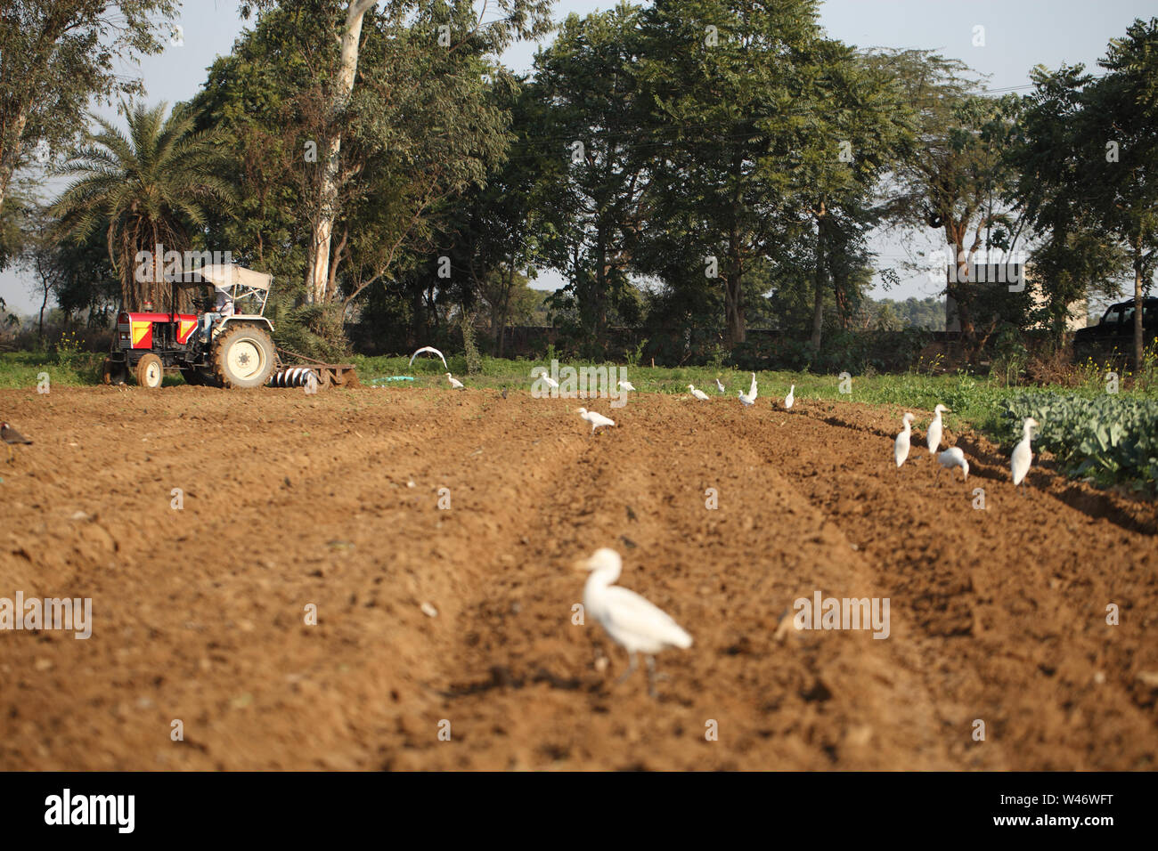 Farmer ploughing a field with tractor Stock Photo - Alamy