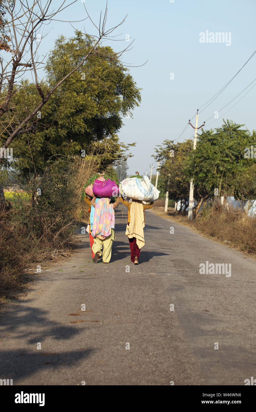 Rural india women electricity hi-res stock photography and images - Alamy