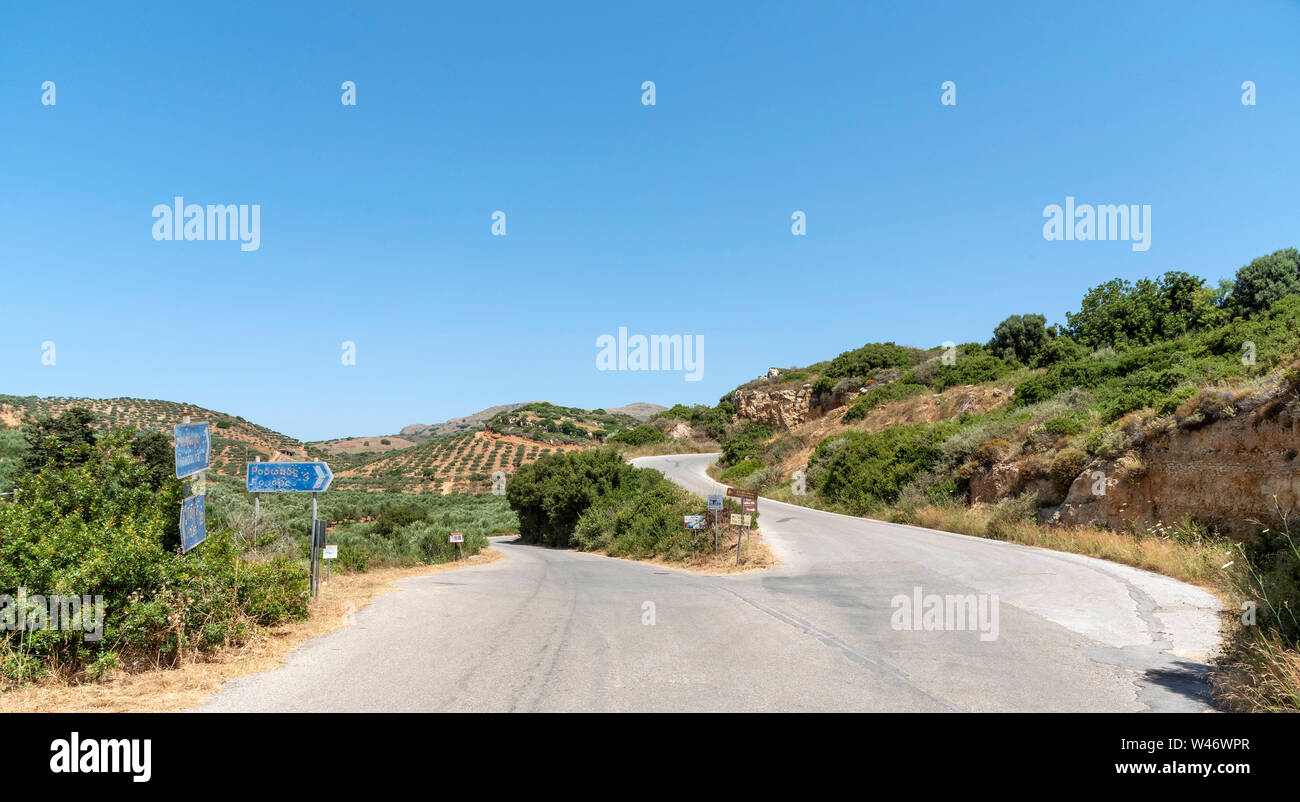Crete, Greece. June 2019. Olive trees line the road in early summer in ...