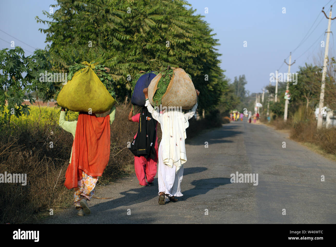 Rural india women electricity hi-res stock photography and images - Alamy