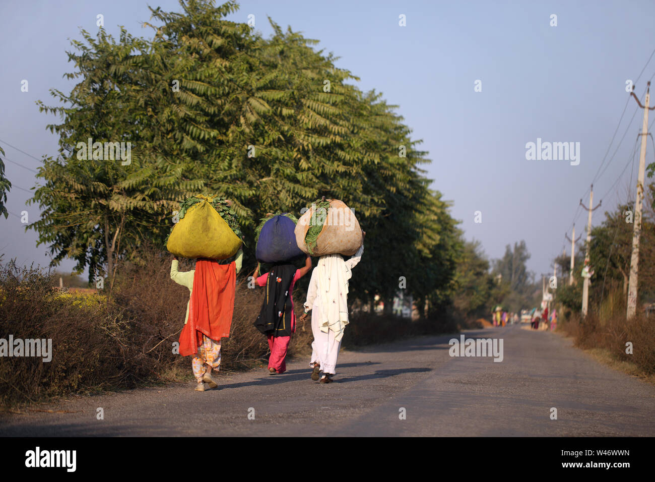 Rural india women electricity hi-res stock photography and images - Alamy