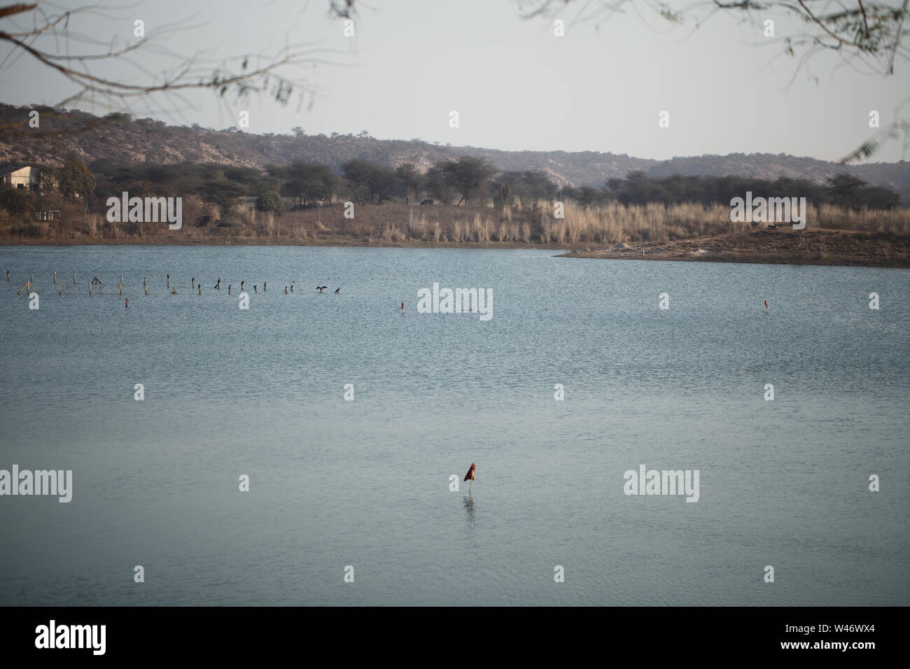 Sohna hi-res stock photography and images - Alamy