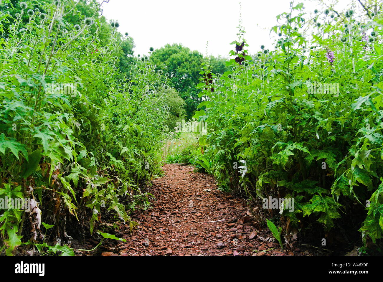 a patch through flower garden in the city park Stock Photo - Alamy