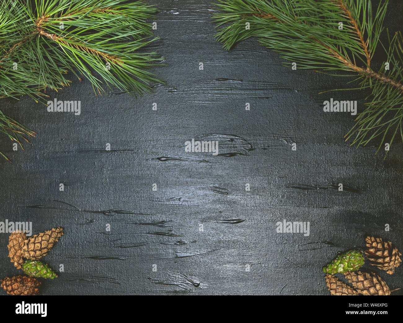 A black background with a pine motif. Cones and needles of a tree ...