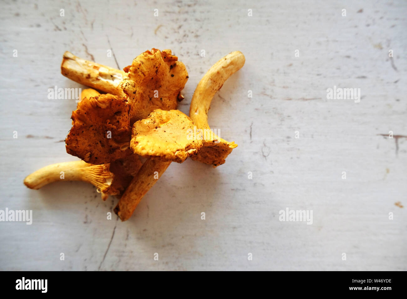 fresh golden chanterelles on light grey background flat lay Stock Photo ...
