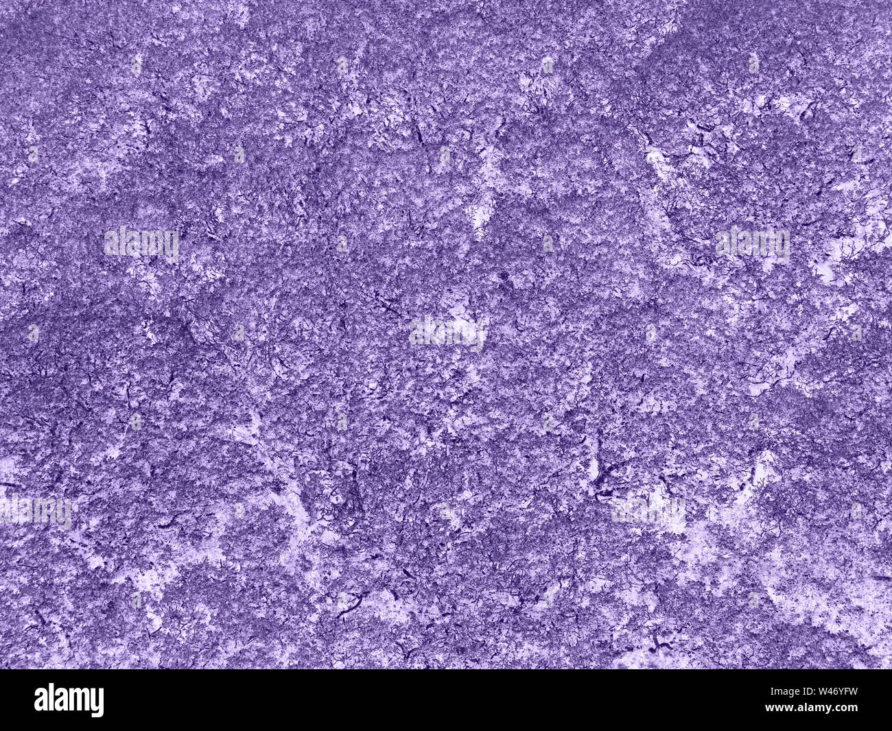 Forest tree canopy coloured negative purple / violet Stock Photo - Alamy