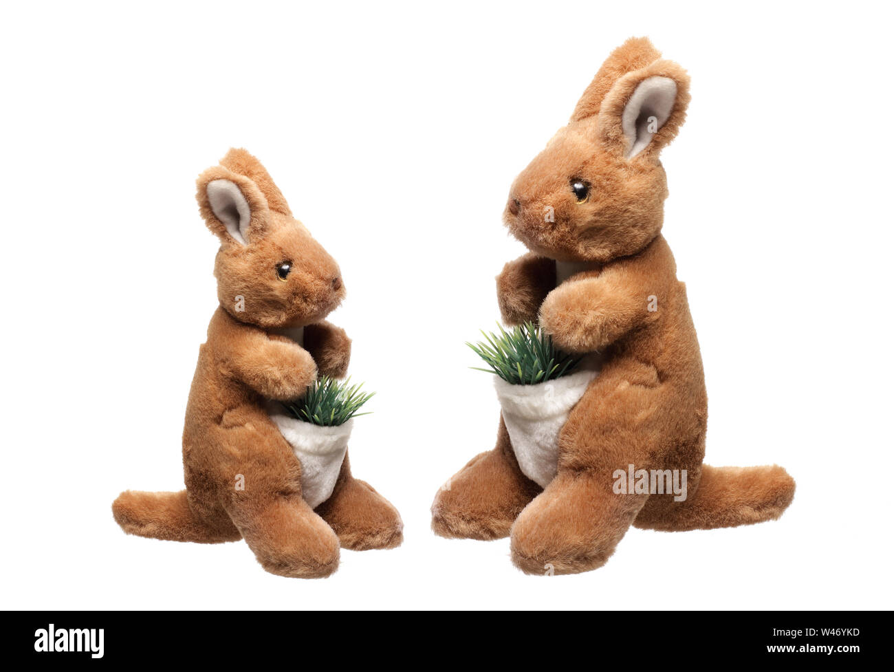 Spring bunnies rabbits hi-res stock photography and images - Alamy
