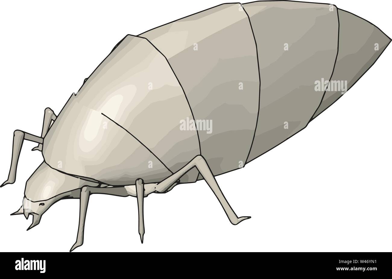 Scarab beetle isolated on Stock Vector Images - Alamy