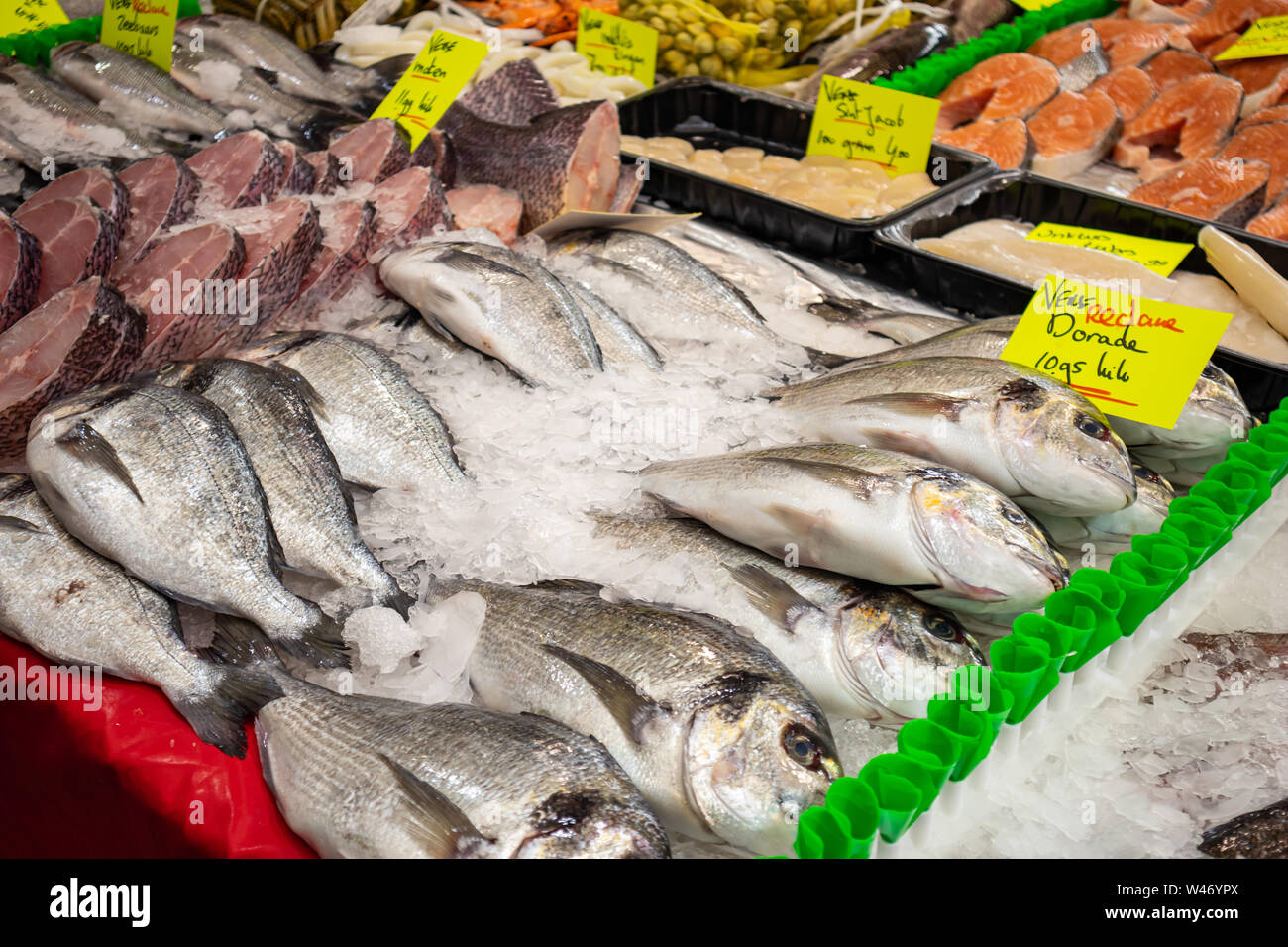 Rotterdam Netherlands, June 29, 2019. Fresh fish variety and seafood ...