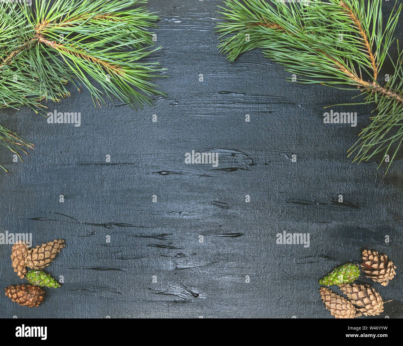 A black background with a pine motif. Cones and needles of a tree ...