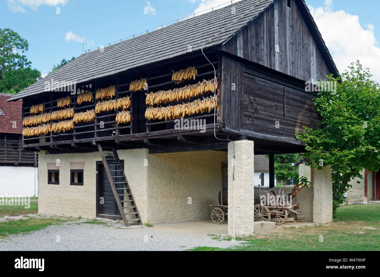 old building stucco, wood, corn cobs drying, farm equipment, ladder ...