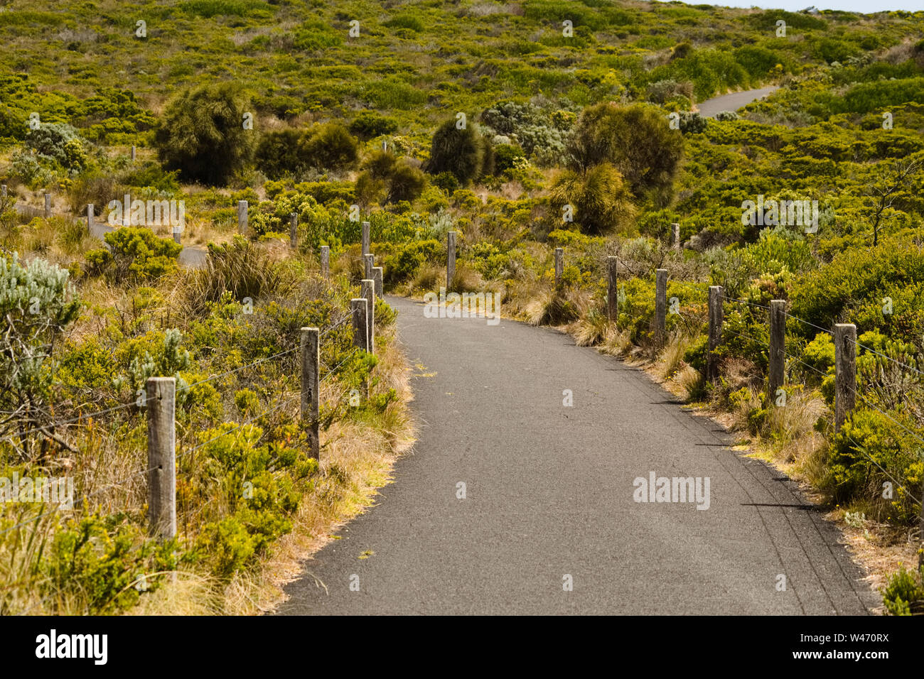 The Razorback rock in Port Campbell National Park, Victoria, Australia ...