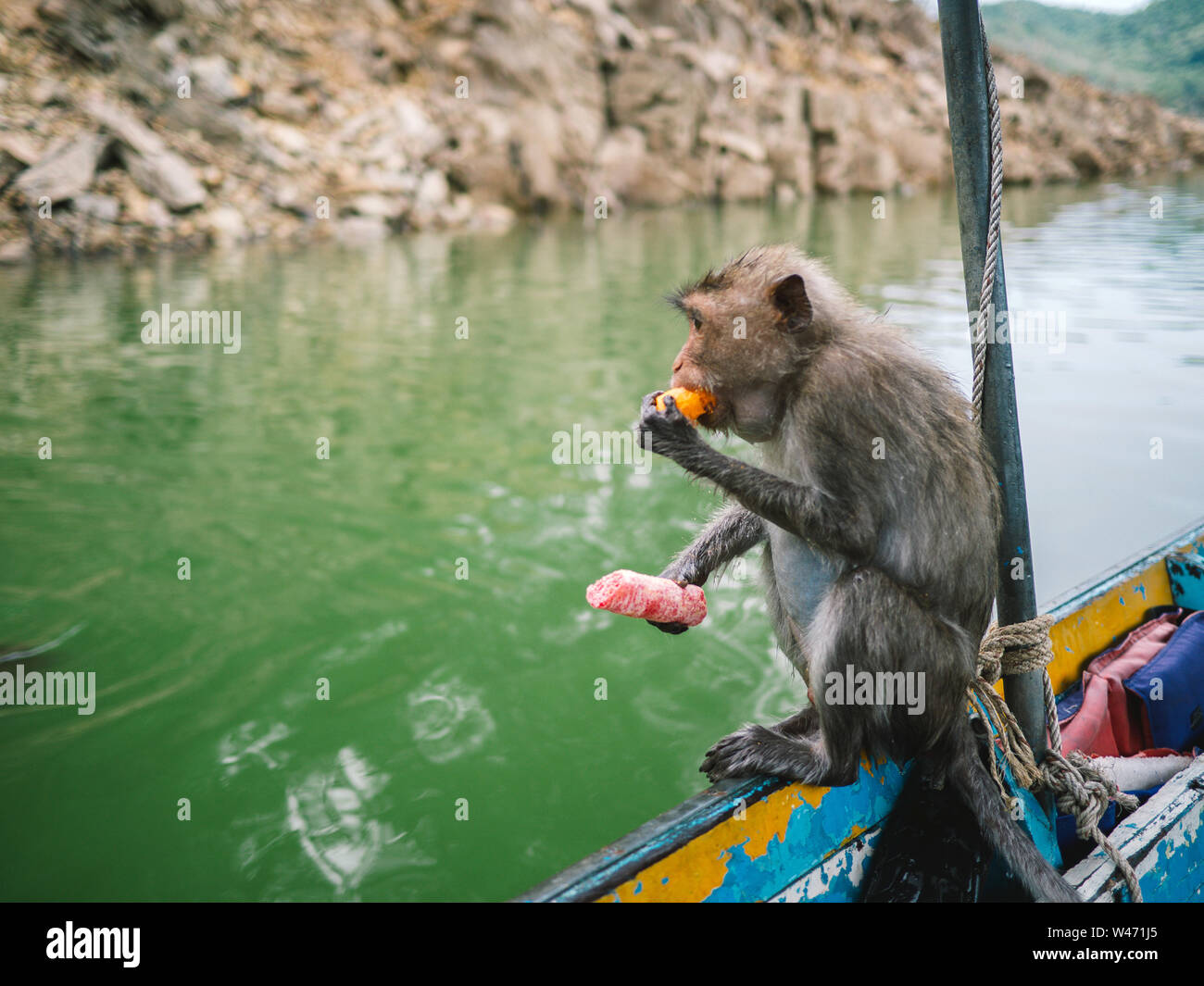 Monkey Island, THAILAND The monkeys are on the boat, Monkey is eating ...