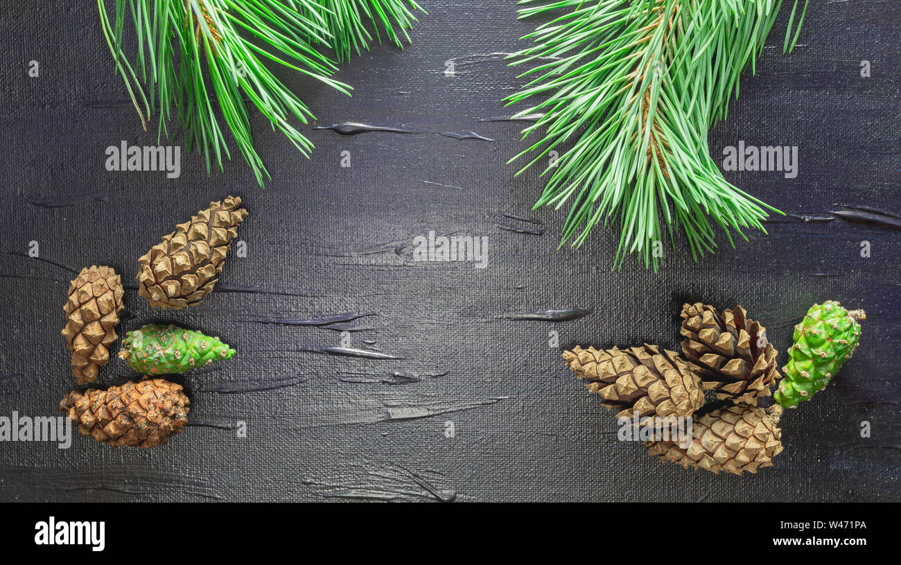 A black background with a pine motif. Cones and needles of a tree ...