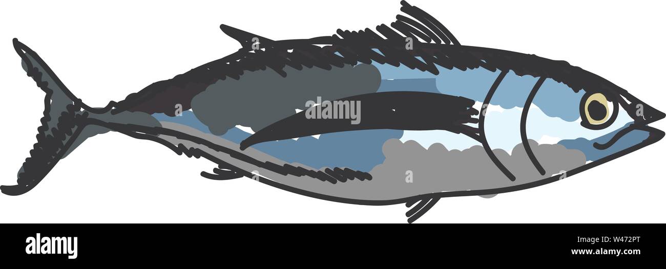Albacore fish, illustration, vector on white background Stock Vector ...