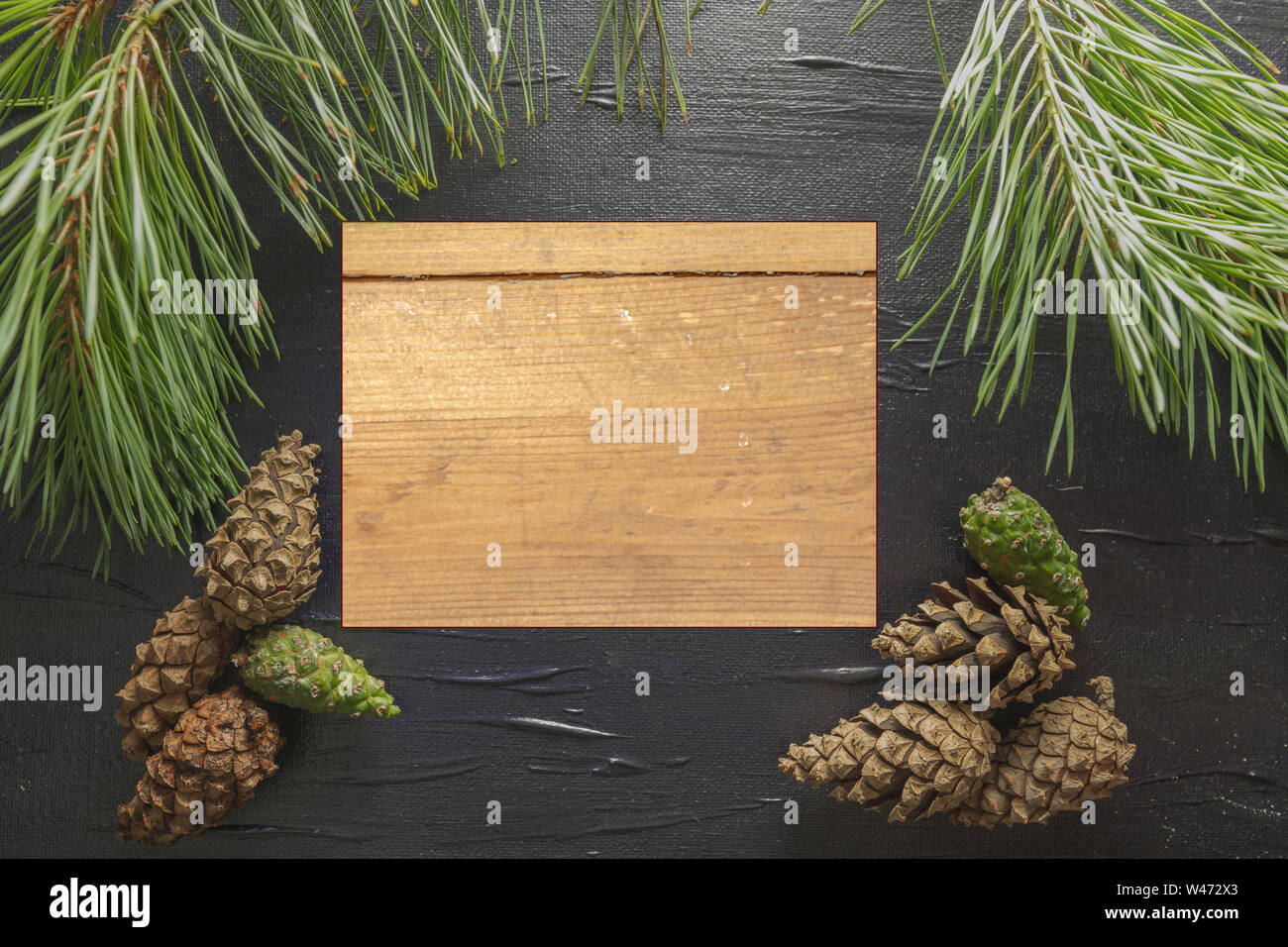 A black background with a pine motif. Cones and needles of a tree ...