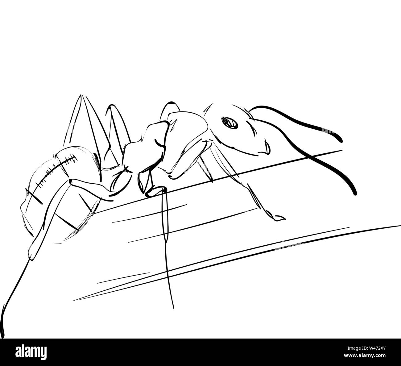 Ant drawing, illustration, vector on white background Stock Vector ...