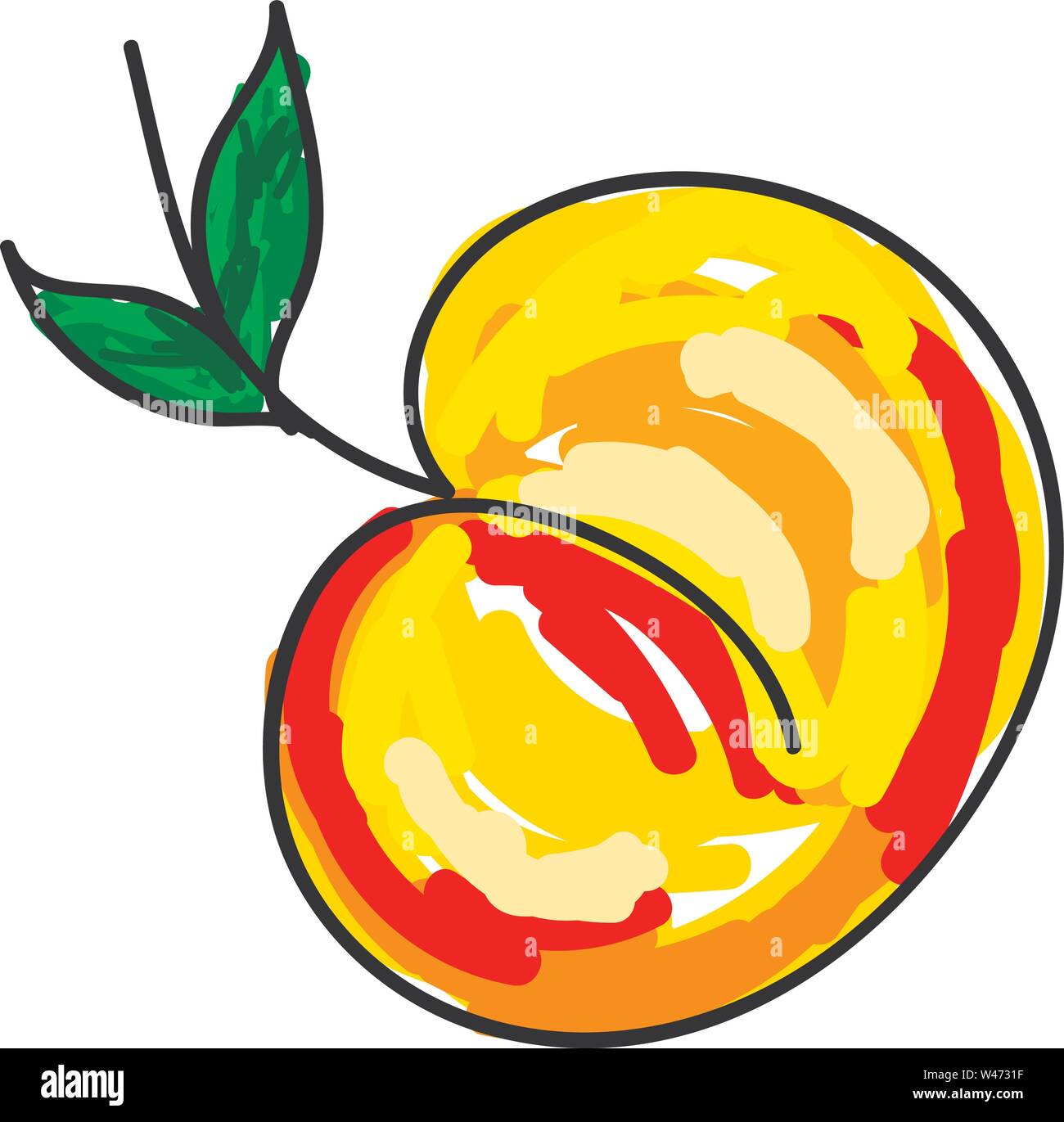 Apricot fruit, illustration, vector on white background Stock Vector ...