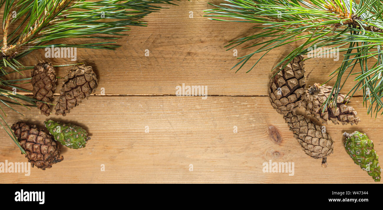 Wooden background for a pine theme. Cones and needles of a tree ...