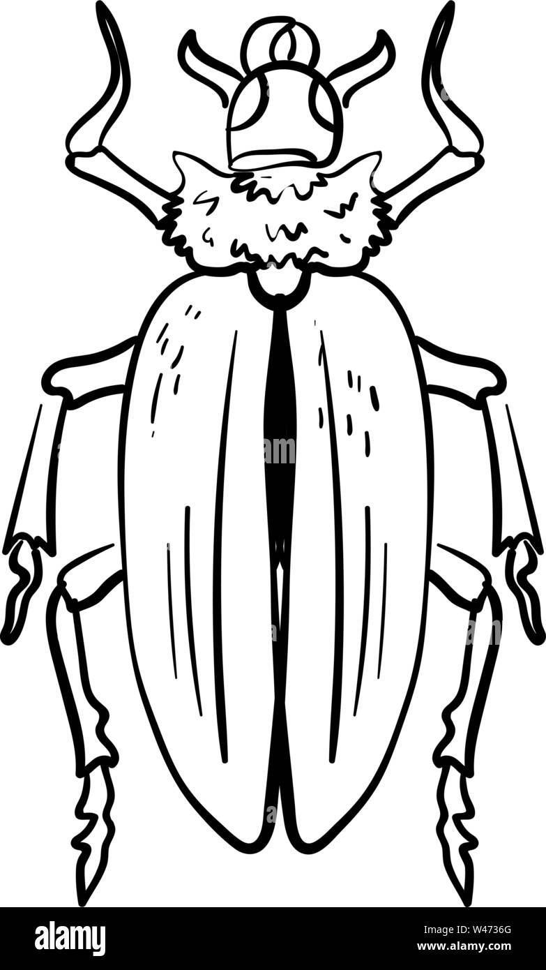 Beetle drawing, illustration, vector on white background Stock Vector ...