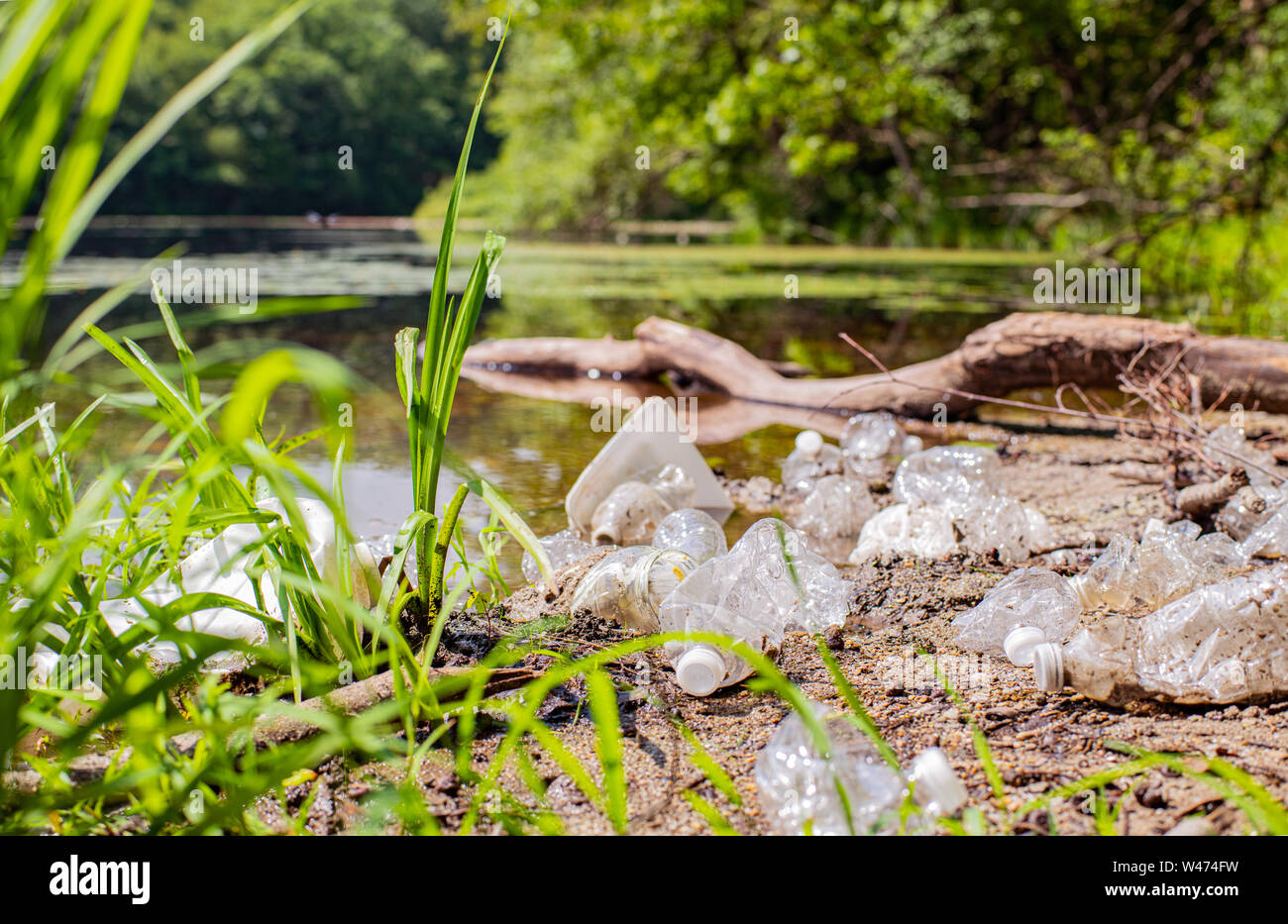 Trash and used plastic bottles in the river. Garbage near lake ...