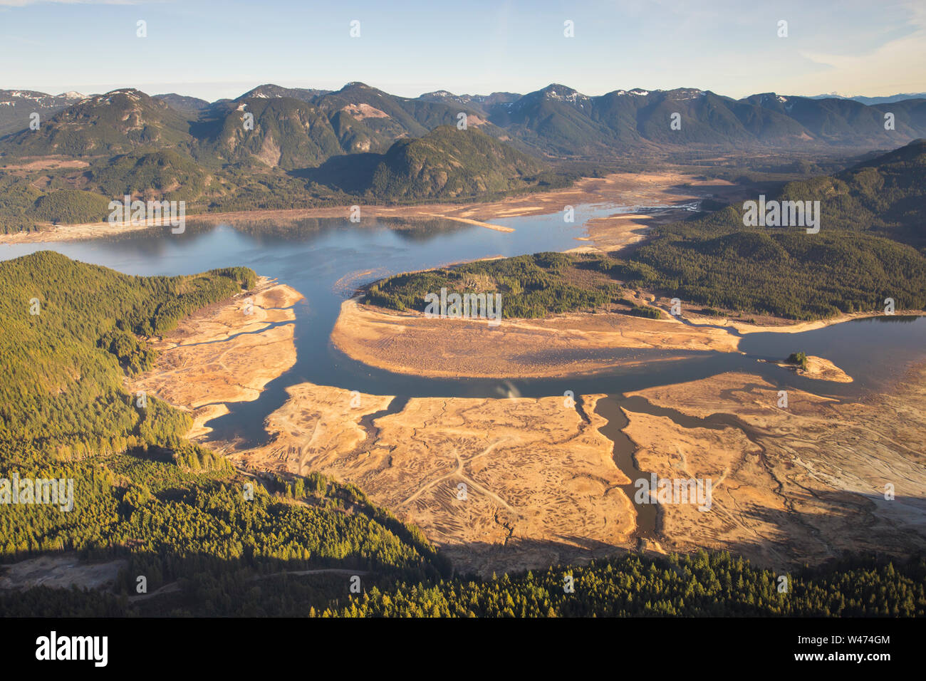 Cascadia forest hi-res stock photography and images - Alamy